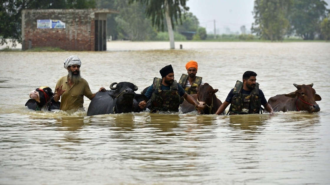 Reaching Out to Punjab – The Punjab Pulse